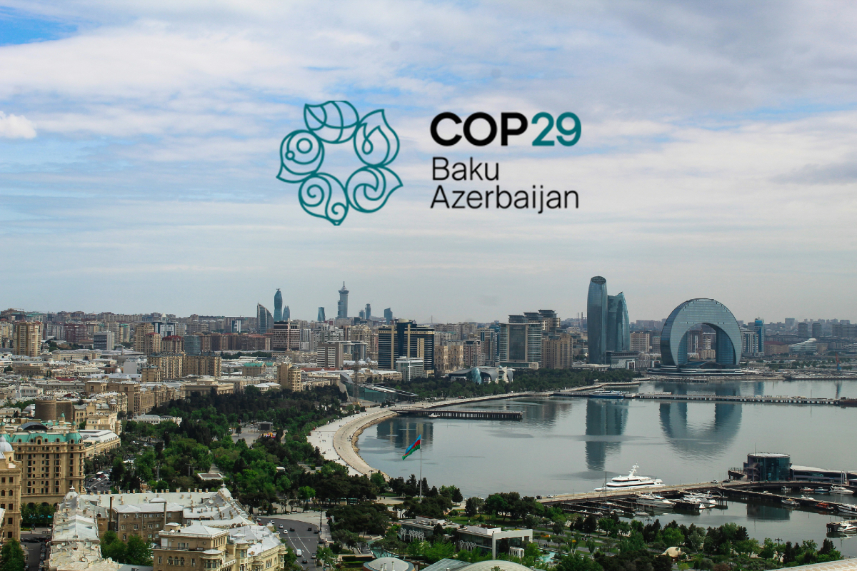 COP29 – Understanding the UN Climate Summit - Forster Communications
